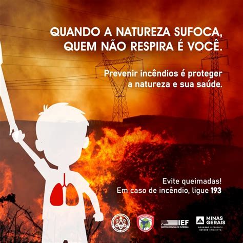 Estado Lança Campanha De Prevenção A Incêndios Florestais Sintram