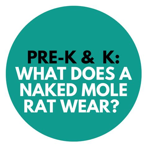 Collections Small Mammal Connections What Does A Naked Mole Rat