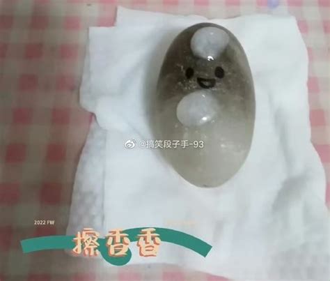 貓狗失寵中韓年輕人開始流行養寵物石頭了 梅花新聞網
