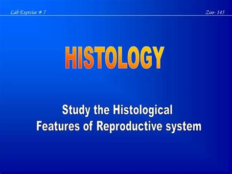 PPT Lab Exercise 7 PowerPoint Presentation Free Download ID 1977065