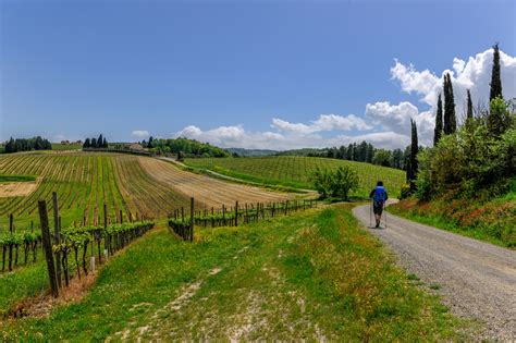 Gronze Via Francigena Via Francigena Tzxum