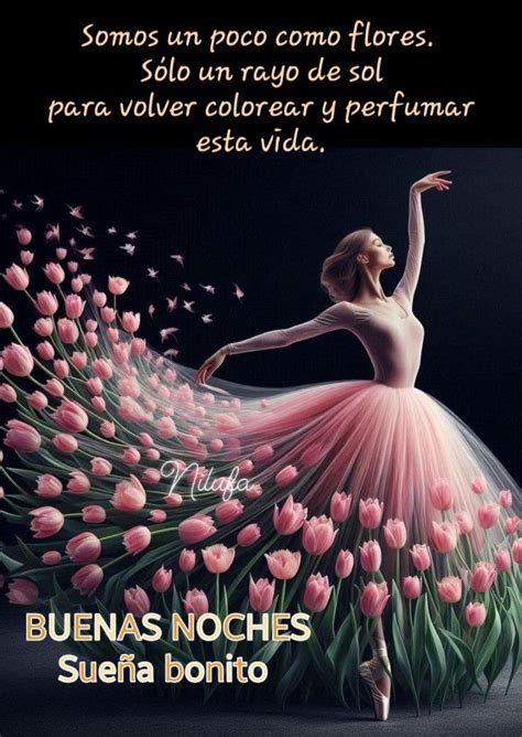 Pin de Momishi en saludos día y noche Lmagenes de buenas noches Frases de buenas noches para