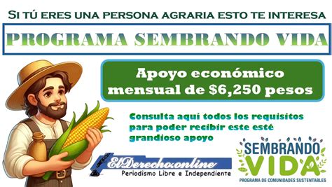 Recibe Un Apoyo Mensual De 6250 Pesos Del Programa Del Bienestar