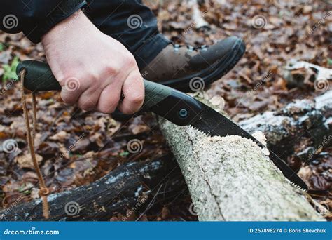 Man Cuts Tree Trunk With Small Saw Stock Photo Image Of Timber Tool