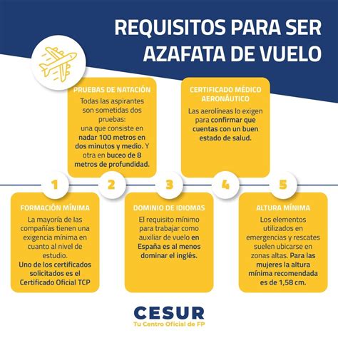 Todos Los Requisitos Para Ser Azafata De Vuelo En España Y Los Mejores