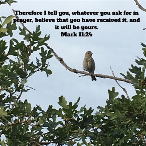 Psalms 42 5 Why My Soul Are You Downcast Why So Disturbed Within Me Put