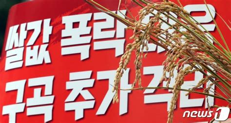 쌀값 안정 대책 촉구 네이트 뉴스