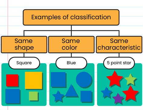 What Is An Example Of Classifying At Colby Westlake Blog