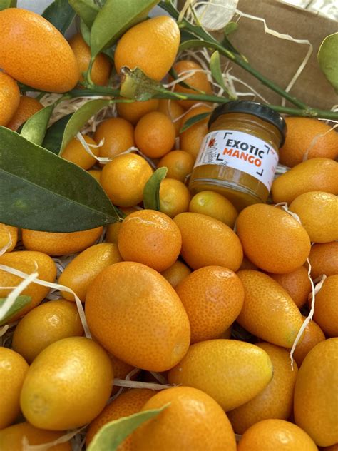 Comprar Kumquat Onlinedel árbol A La Mesa¡