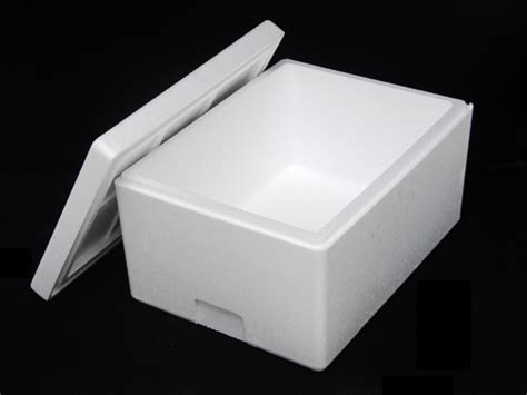 Foam Boxes Siam Foam
