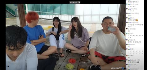 늑대채린 얼굴 살 좀 포동포동하지않음 스타크래프트 에펨코리아