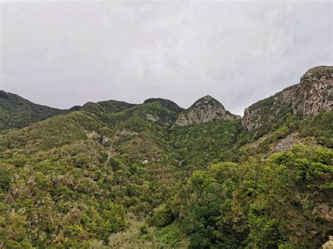 Parco Rurale Di Anaga Il Bosco Fatato Al Nord Di Tenerife A Piedi Il