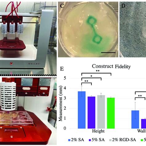 3d Bioprinting Using The Allevi 3 Bioprinter And Alginates As Bio Ink