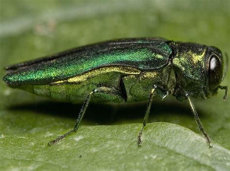 Why Is Engineering Design Important For All Leaners