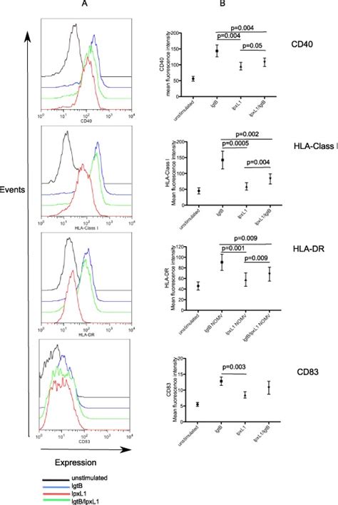 Dendritic Cell Surface Phenotype Following Stimulation With Los Download Scientific Diagram