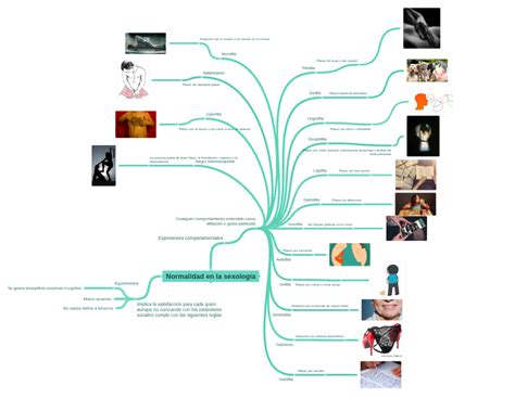 Normalidad En La Sexología Coggle Diagram