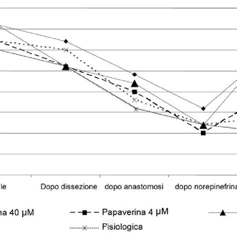 Andamento Del Flusso Sanguigno Medio Nei Differenti Gruppi Analizzati