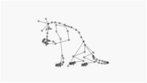3d Cat 039 Rigged Cat Model Turbosquid 1981565