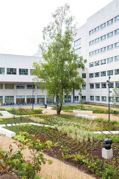University Hospital Brussels By Omgeving Landscape Architecture