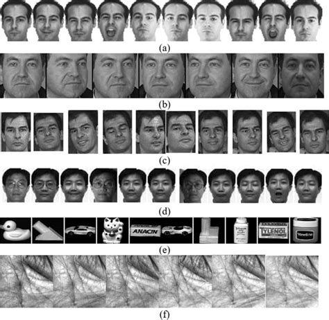 Some Samples From Six Databases A Ar B Feret C Gt D Yale E Coil F Download Scientific
