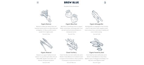 One Product Shopify Stores 21 Inspiring Examples 2025