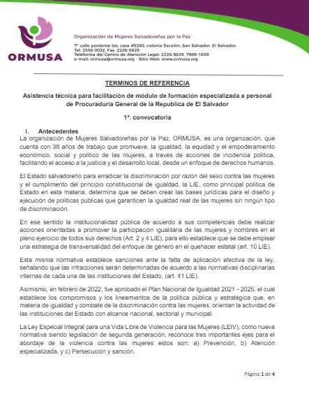 Asistencia técnica para facilitación de módulo de formación
