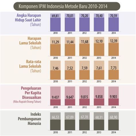 Null Infographic Bps Statistics Indonesia