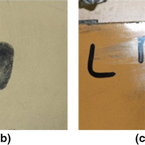 Sample Images From Iiit D Database Divided Into Different Categories A