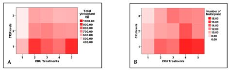 A Controlled Release Nanofertilizer Improves Tomato Growth And