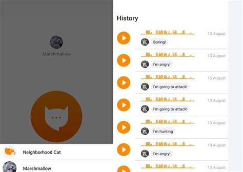 Garotas Geeks Conheça MeowTalk o aplicativo que entende seu gato