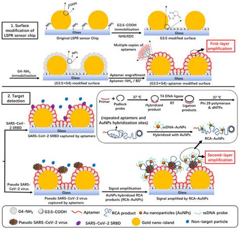Surface Plasmon Resonance Based Biodetection Systems Principles Progress And Applications—a