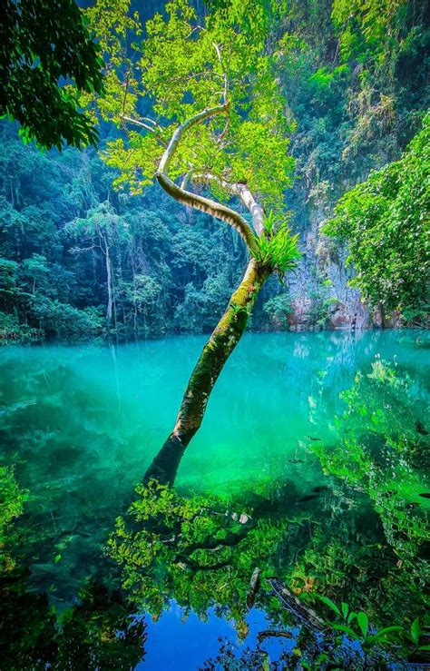 Photo Gallery อุทยานฯ ถ้ำผาไท เผยภาพ “หล่มภูเขียว” บ่อน้ำมหัศจรรย์กลางป่าใหญ่แห่งลำปาง