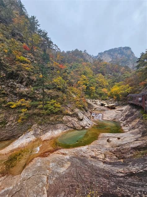 설악산 단풍구경 초급코스 오색 주전골 자연관찰로 네이버 블로그