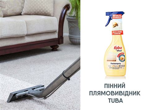 Як самостійно почистити килими Eva Blog