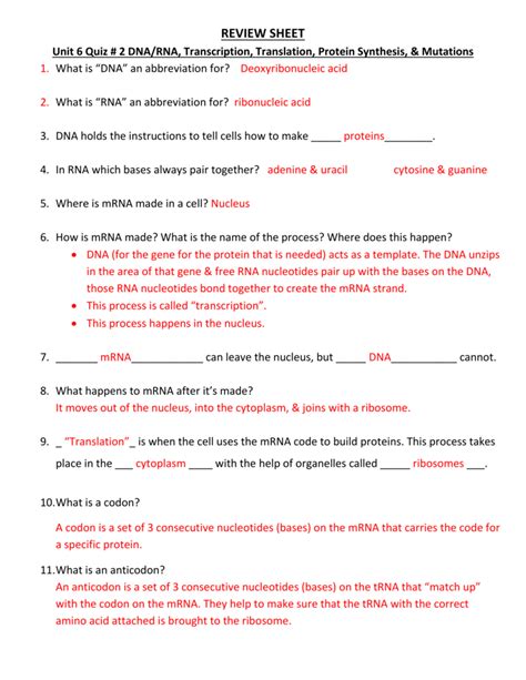 Dna And Rna Worksheet Answers