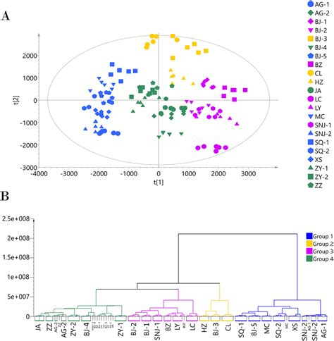 Chemotype Classification And Biomarker Screening Of Male Eucommia Ulmoides Oliv Flower Core