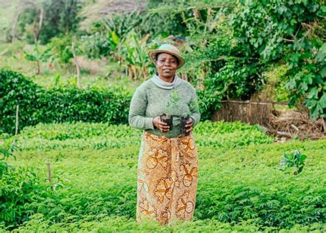 350 Million Trees Planted Trees For The Future