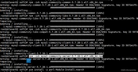 Mysql Csdn