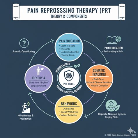 Pain Reprocessing Therapy Prt Ai ⋆ Santa Barbara Deep Tissue Riktr