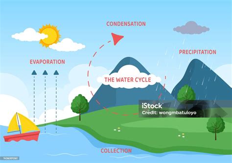 증발의 물주기 응축 평평한 만화 손으로 그린 템플릿 일러스트레이션에 지구 자연 환경에서 수집에 강수량 주기 개념에 대한 스톡 벡터 아트 및 기타 이미지 Istock