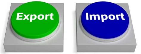 Import Export Code Registration Service In Kanpur ID