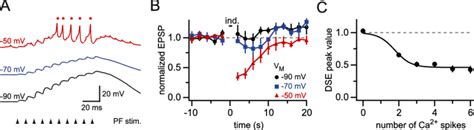 Dse And Dendritic Calcium Spikes Have A Similar Voltage Threshold A