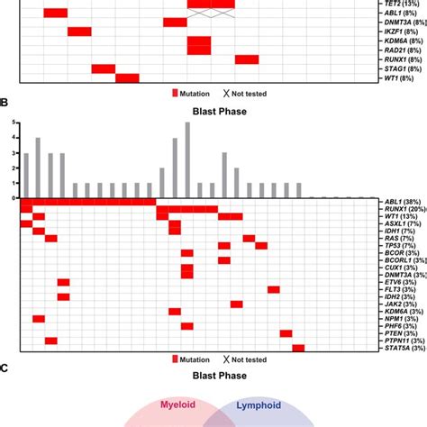 Mutational Profile Of Accelerated Phase Ap Cml And Blast Phase