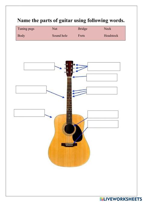 Guitar Parts Interactive Worksheet Live Worksheets Worksheets Library