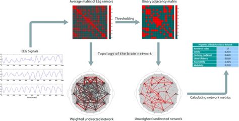 Construction Of Brain Networks From Eeg Signals The Plots On The Left Download Scientific