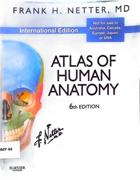 ATLAS OF HUMAN ANATOMY TH EDITION Daraz Pk