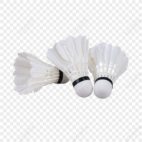 화이트 스포츠 코트 게임 배드민턴구장하얀운동 Png 일러스트 무료 다운로드 Lovepik