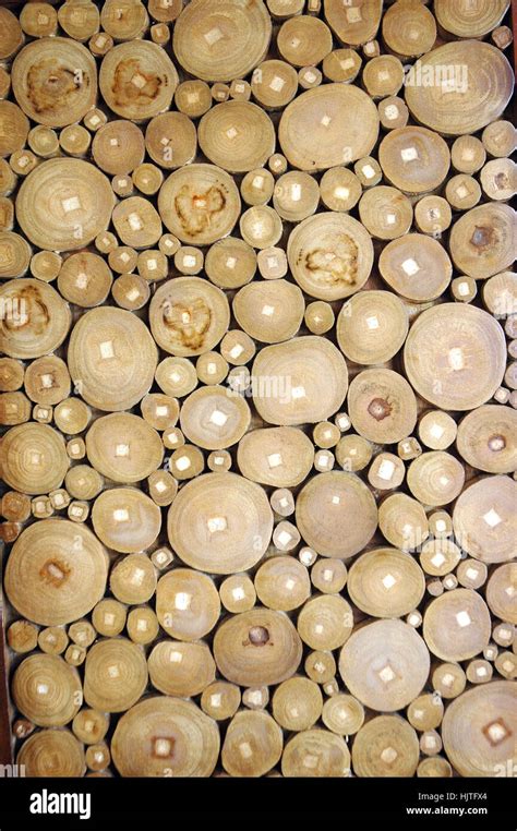 Tree Wood Cut Timber Stack Log Heap Pile Environment