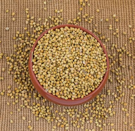 Premium Photo Dried Coriander Seeds