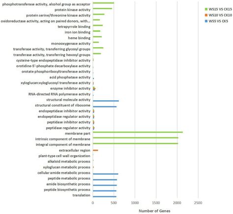 The Bar Graph Of Significant Go Enrichment Of Degs Go Gene Ontology